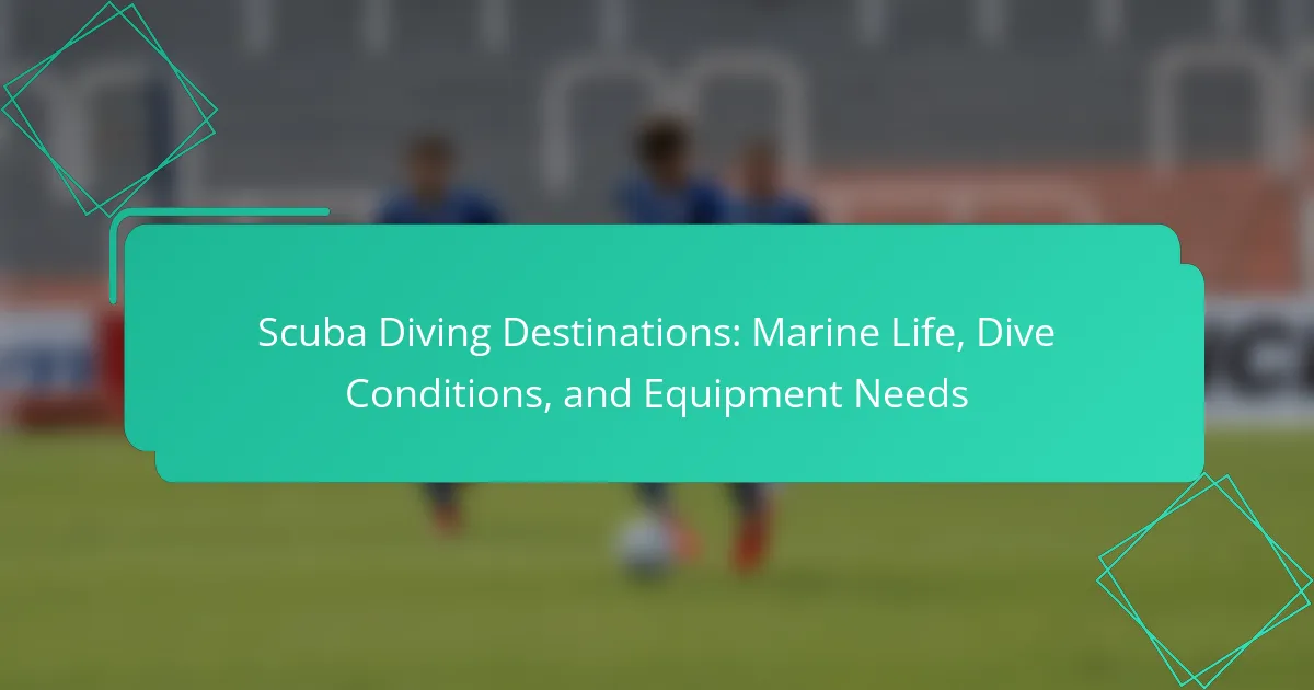 Scuba Diving Destinations: Marine Life, Conditions & Gear Needs